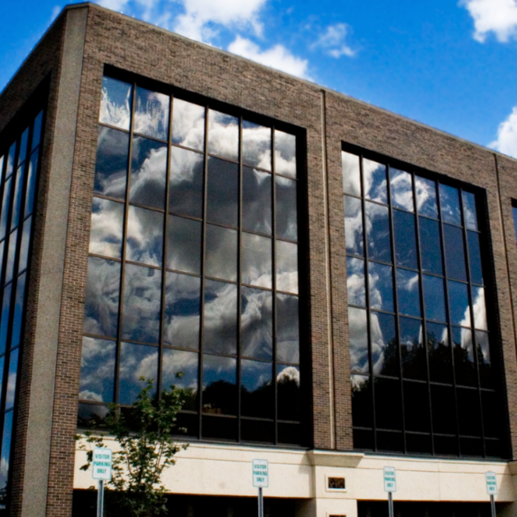 The Window Tint Company